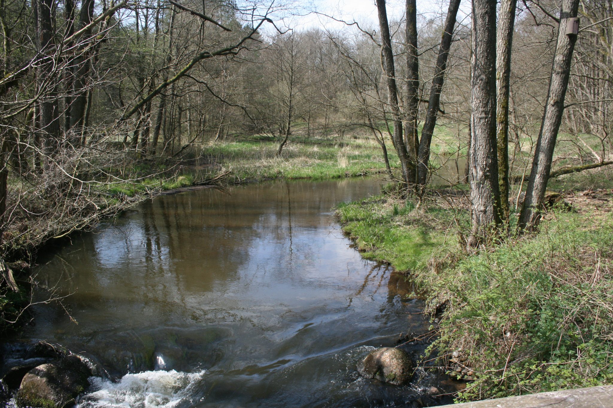 Luhebegehung mit Axel Aue – SAV